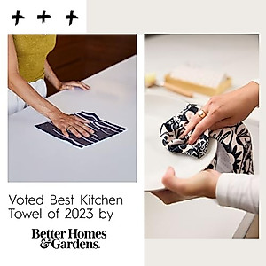 GEOMETRY Kitchen Dish Cloths - Quick Dry Dishcloths for Kitchen - Premium Dish Rags with Geoweave (Lemon Delight)