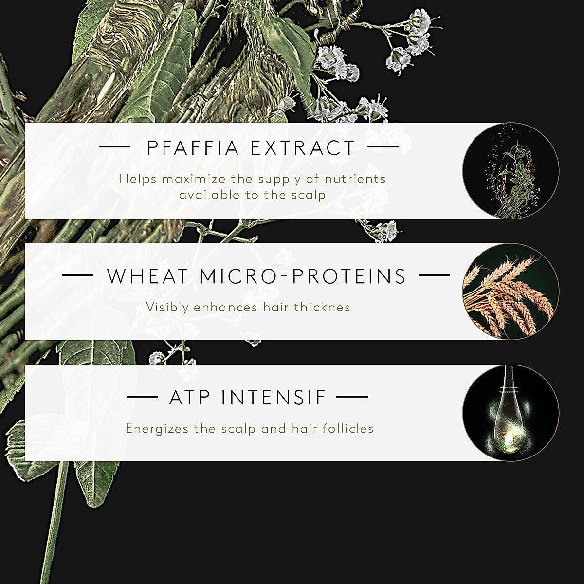 Rene Furterer TRIPHASIC Texturizing Detangling Conditioner, Thinning Hair, Men & Women 5 Fl Oz