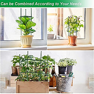Plant Support Cages 15.7 Inches Garden Plant Support Ring Plant Stake Plant Support Tomato Cage, Perfect for Small Plants, Vegetables, Flowers, Plant Trellis for Potted Plants 2 Pack