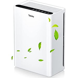 Air Purifiers for Home Large Room up to 1740ft², H13 True HEPA Air Filter for Allergies, Pets Hair, Pollen, Dander, Smoke, Smell, Sleep Mode, 5 Timer, Auto Mode Quiet Air Cleaner for Bedroom, Kicthen
