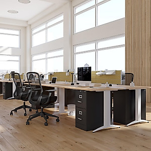 Staples 85988 2-Drawer Vertical File Cabinet Locking Letter Black 25-Inch D (25157D)