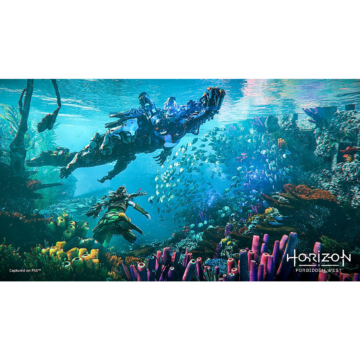 Horizon Forbidden West Standard Edition - PlayStation 4