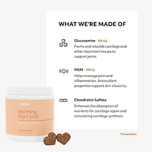 Reggie Morning Hip + Joint Supplements for Dogs | Relieves Soreness, Inflammation, Joint Pain, Mobility Issues | Made in The USA, Vet-Approved, & Ideal for All Ages, Breeds, and Sizes - 60 Soft Chews