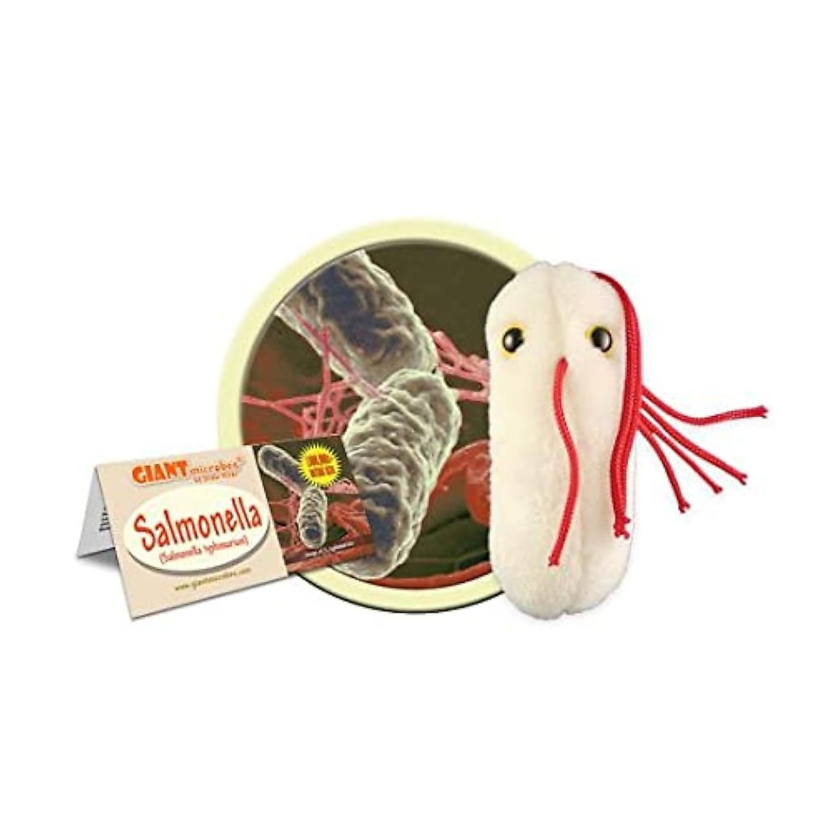 GIANTmicrobes Salmonella Plush -Learn About Food Safety, Bacteria and Gut Health with this Unique Fun Gift for Friends, Families, Teachers, Chefs, Doctors, Gastroenterologists, Students and Scientists