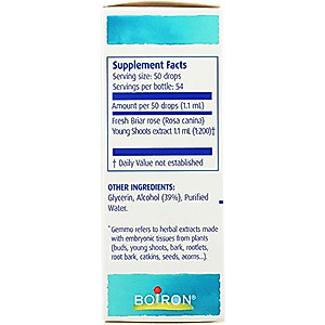 BOIRON USA - Briar Rose/Rosa Canina 2oz [Health and Beauty]