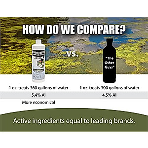 Bloom Buster Pond Algae Control - 16oz - Fast Acting Algaecide, Use in Fountains & Outdoor Ponds Containing Koi & Other Fish - EPA Registered