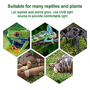 AngleKai Reptile Heat Lamp, 50W Adjustable Turtle Heating Light for Lizard Reptile Included 2 UVA UVB Bulb Baking Lamp (E27, 110V) (Black)
