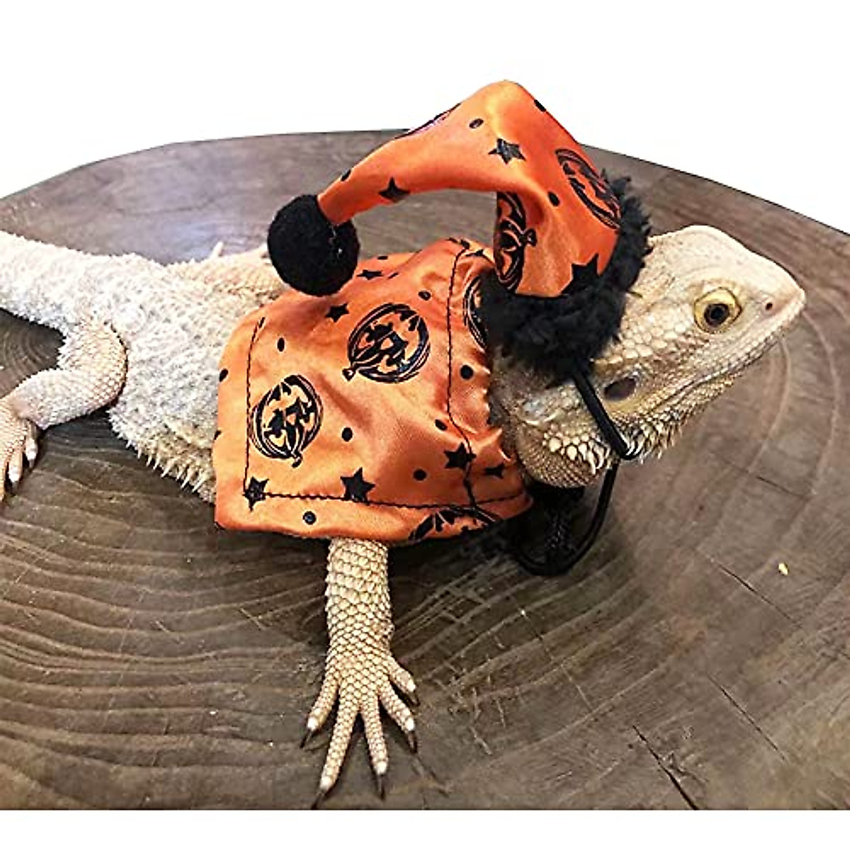Lizard Clothes for Bearded Dragon - Halloween Hat and Cloak Set Adjustable Halloween Costume Xmas Gifts Pets Apparel for Bearded Dragon Rabbit Guinea Pig Ferret Hedgehog (Halloween Hat & Cloak Set)