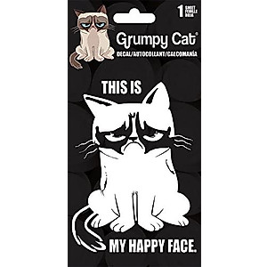 Pusheen Clear Mini Backpack - Bundle with Pusheen Backpack for Girls 11 Inch Plus Decals, More | Transparent Pusheen Backpack for Kids School Supplies