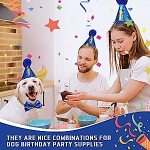 Dog Birthday Party Supplies Birthday Boy Girl Cake Bandana Triangle Scarf Clothes Shirt Cute Hat, Bow Tie Collar with 0-8 Numbers for Dog Puppy 1st Birthday Outfit (Elegant Style)