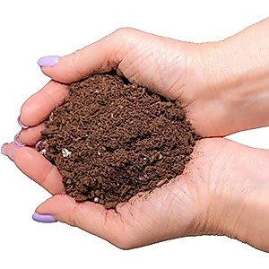 GARDENERA Citrus Tree Potting Soil Mix, Special Blend for Indoor Oranges, Lemons, Limes and More - (1 Quart Bag)