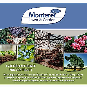 Monterey LG 6286 Horticultural Oil Concentrate Insecticide/Pesticide Treatment for Control of Insects, 16 oz