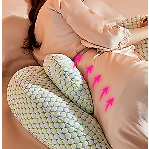 Echueuey Pregnancy Pillows,Pregnancy Pillows for Sleeping –Maternity Pillow, Side Sleeper Pregnancy Pillow,Pregnancy Wedge Pillows Green