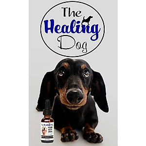 The Healing Dog: Hemp Oil for Cats & Dogs - 300mg