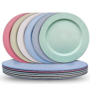 TEETOOKEA 10 Inch Wheat Straw Plastic Plates (Set of 6, Assorted Colors), Dishwasher & Microwave Safe, Reusable, Unbreakable, Lightweight, Eco-Friendly & BPA Free for Kids & Adults
