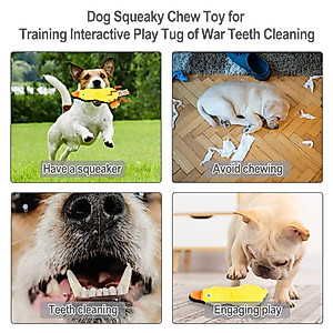 IFOYO Dog Toy - Squeaky Plush Chew Toys for Aggressive Chewers, Interactive Puppy Toys for Small/Medium/Large Dogs, Durable Stuffed Animal Toy with Mental Stimulation (Duck Design)