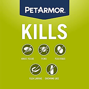 PetArmor Plus for Cats, Flea & Tick Prevention for Cats (Over 1.5 lb), Includes 6 Month Supply of Topical Flea Treatments, white, 6 count