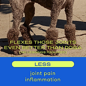 Native Pet Omega Oil for Dogs - Dog Fish Oil Supplements & Relief - Anti-Inflammatory Chews for Dogs | 60 Dog Chews | 8 oz. Omega Oil | Best Dog Arthritis Supplement & Dog Joint Pain Relief