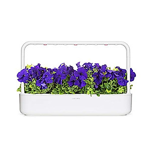 Click and Grow Smart Garden Blue Petunia Plant Pods, 3-Pack