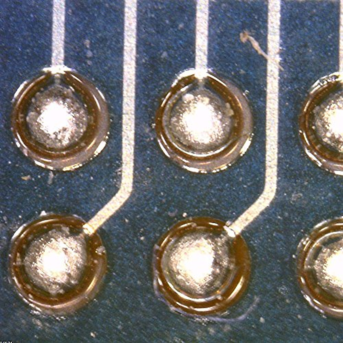 Dino-Lite AM3113 - 10x-50x, 230x - Handheld Digital Microscope - 640 x 480 Pixels - Measuring Software - 8 Integrated LED Lights