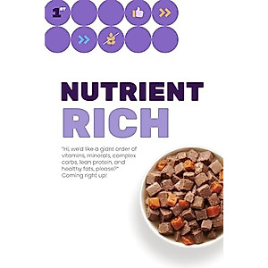 I AND LOVE AND YOU Wet Dog Food - Gobble It Up Stew - Turkey Recipe, Grain Free, Filler Free 13oz can, 12pk