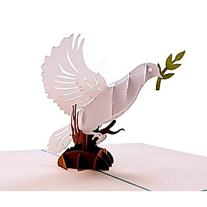 iGifts And Cards Inspirational White Dove with Olive Branch 3D Pop Up Greeting Card - Religious Sympathy Card, Condolences Card, Congratulations Ordination Gift, Beautiful Priest Appreciation Present