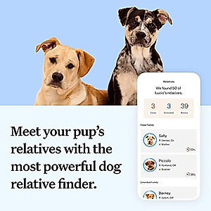 Wisdom Panel Essential: Most Accurate Dog DNA Test Kit for Breed ID and Ancestry | 25+ Genetic Health Conditions | Traits | Relatives | 1 Pack