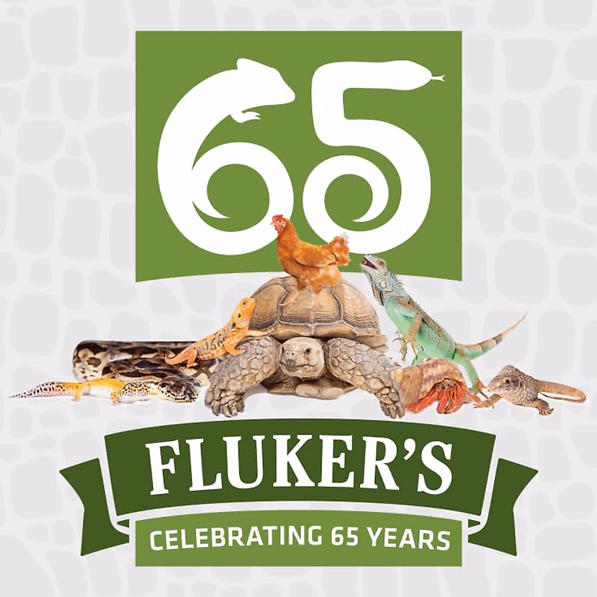 Fluker's Culinary Coop Canned Crickets Chicken Treat, All-Natural and Packed with Protein, 2.75oz