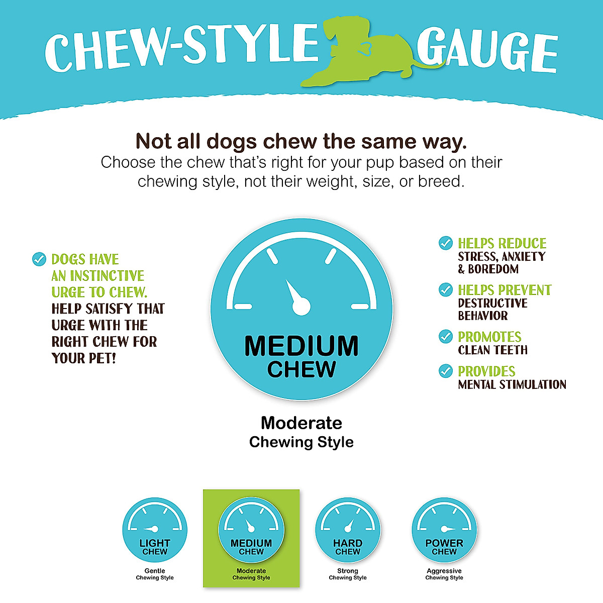 Raw Paws Beef Collagen Sticks for Dogs, 6 inch, 10-ct - Packed in USA - Natural Collagen for Dogs - Dog Chews for Aggressive Chewers & Large Dogs - Collagen Bones for Dogs, Dog Collagen Chews for Dogs