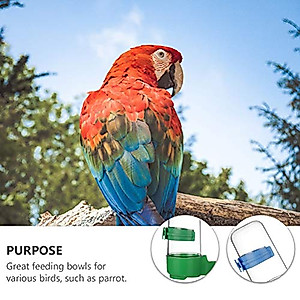 Balacoo 6pcs Automatic Bird Waterer Food Feeder Bird Water Bottle Drinker Food Container Dispenser Hanging Birds Cage for Parrots Budgie (Red Blue Green)