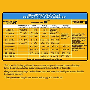PEDIGREE Puppy Growth & Protection Dry Dog Food Chicken & Vegetable Flavor, 36 lb. Bag