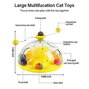 HOPET Interactive Cat Toy for Indoor Cats, Catnip Balls Roller Tracks Exercise Balls Teaser, Kitten Feeder Stimulation Toys Gifts for Pets Cats Lover Women Men