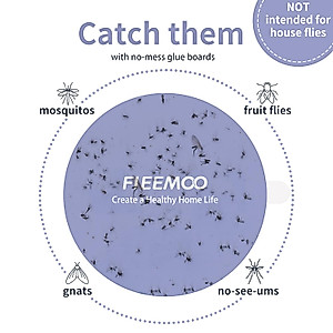 Fieemoo Insect Trap 12PCS Mosquito Trap Refill Glue Boards, 3.9" Mosquito Lamp Refillable Glue Pads Fits Many Models Indoor Mosquito Killer Bug Catcher