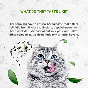 Lion's Digestion | Natural Herbal Dietary Supplement for Cats | Healthy Digestion Support | Alcohol-Free Extract, Fennel Seed, Marshmallow Leaf, Slippery Elm, Pumpkin Seed, Papaya Leaf 2 oz