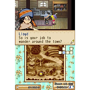 Harvest Moon: Grand Bazaar - Nintendo DS