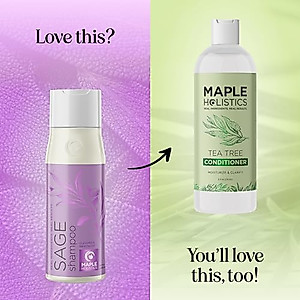 Maple Holistics Sage Shampoo for Dandruff, Oily Hair and Flaky Scalp, 10 OZ - Sulfate Free Volumizing Shampoo with Natural Ingredients, Essential Oil for Men and Women