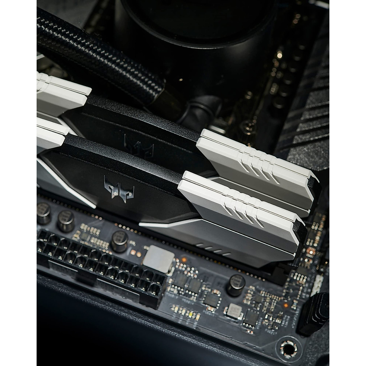 Acer Predator Talos 16GB (8GBx2) RAM 3000 MHz DDR4 CL16 1.35V Desktop Computer Gaming Memory Kit - BL.9BWWR.211