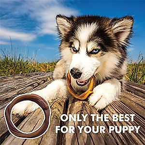 N-Bone Puppy Teething Rings 6 Count Bag Variety Pack, Chicken & Pumpkin & Blueberry BBQ Flavor, Total 3 Bags, 21.6-oz, 18 Rings