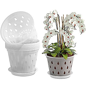 AAHGGBA Orchid Pot, 7 Inch 8 Pack Orchid Pots with Drainage Holes and Saucers Clear Plastic Orchid Pots Provide Good Air Circulation Garden Planters Pots for Indoor and Outdoor Use