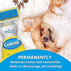 Carbona Oxy-Powered Pet Stain & Odor Remover w/ Active Foam Technology | 22 Fl Oz, 1 Pack
