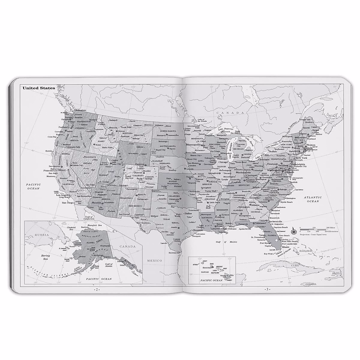 2024 Harbor Large Monthly Planner - Metallic Rose Gold - 9.75x7.5"