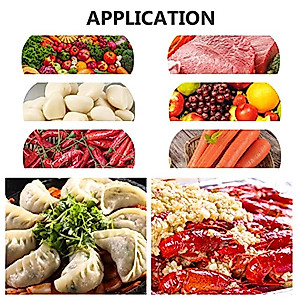 Meat Mincer, Braking Function Two Level Meat Grinder 2L for Kitchen for Home (US Plug 100-120V)