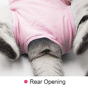 Cat Professional Recovery Suit for Abdominal Wounds or Skin Diseases, E-Collar Alternative for Cats and Dogs, After Surgery Wear, Home Clothing (M, Pink)
