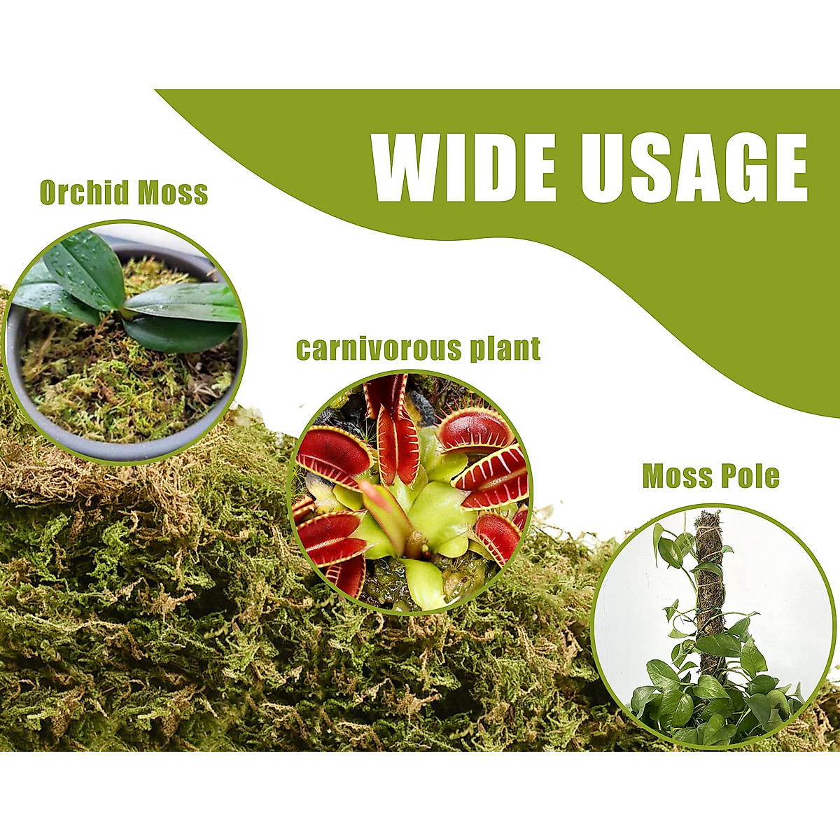 O-FarFarm Dried Forest Moss for Plants 5.3oz / 3qt, Green Orchid Sphagnum Moss, Long Fibered Dried Moss for Succulents Garden Flowers Pot and Reptiles