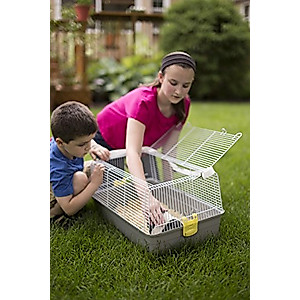 Prevue Pet Products Universal Pet Carrier, Gray, Small (Model: 1306)