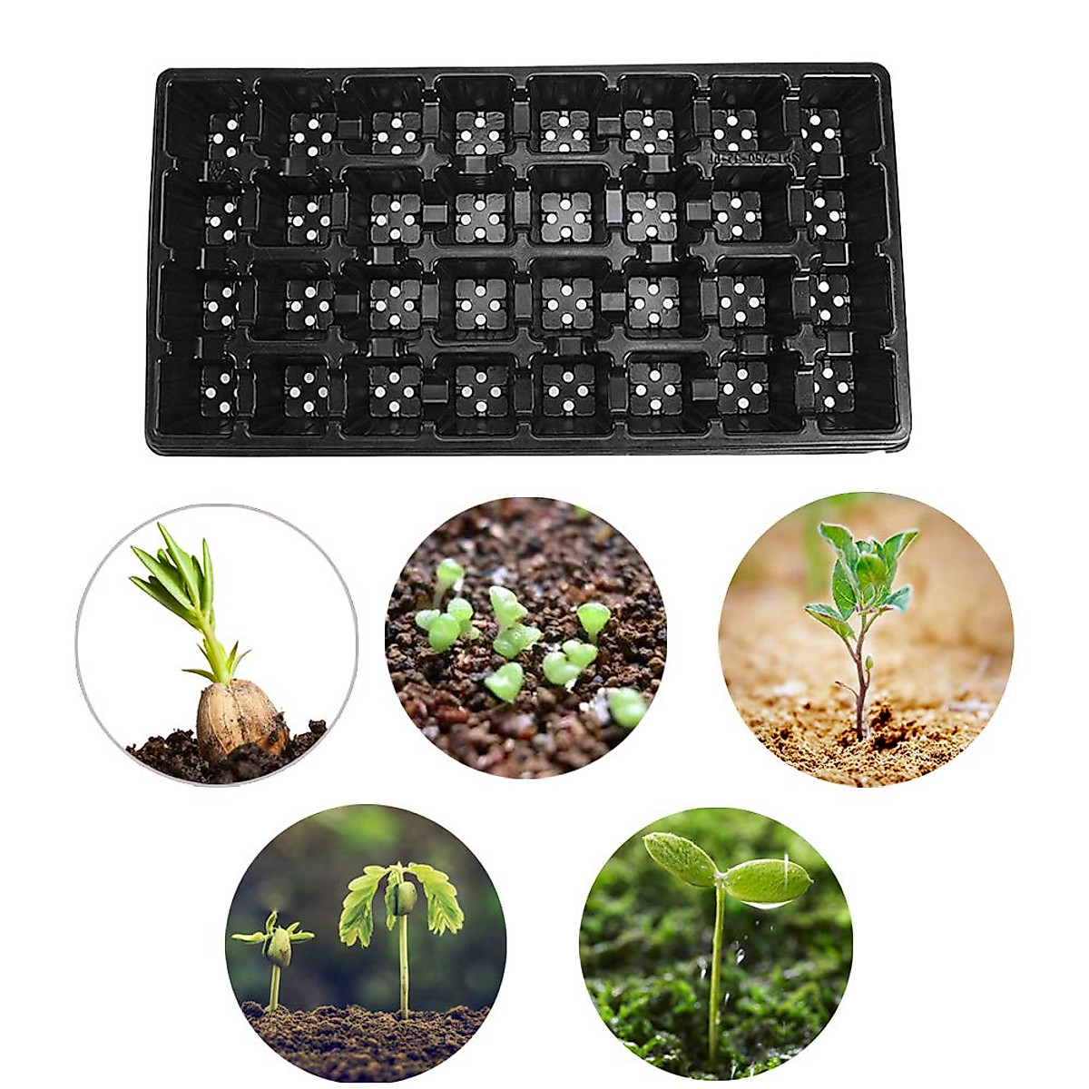 2 Sets 32 Cell Seed Starter Tray Plant Kit Extra Strength Starting Trays for Planting Seedlings, Propagation, Germination Plugs Seedling Planting Insert Plug Tray 2 of Each Cell Tray