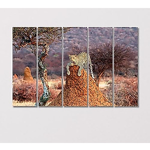 Leopard on a Termite Hill Namibia Africa Canvas Print 1 Panel / 36x24 inches