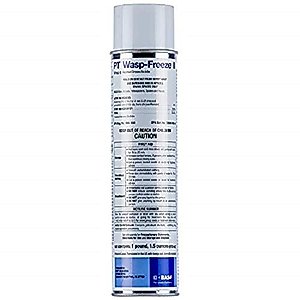 BASF - 597802 - PT Wasp-Freeze II - Wasp and Hornet Insecticide, 17.5oz