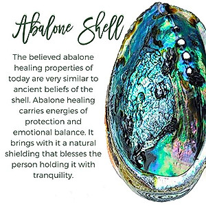 Tear Drop Abalone Tree of Life Necklace - Wire Wrap Abalone Shell Tree of Life Healing Crystal Pendant Necklace Fashion Rose Gold Plated Necklace Jewelry for Women