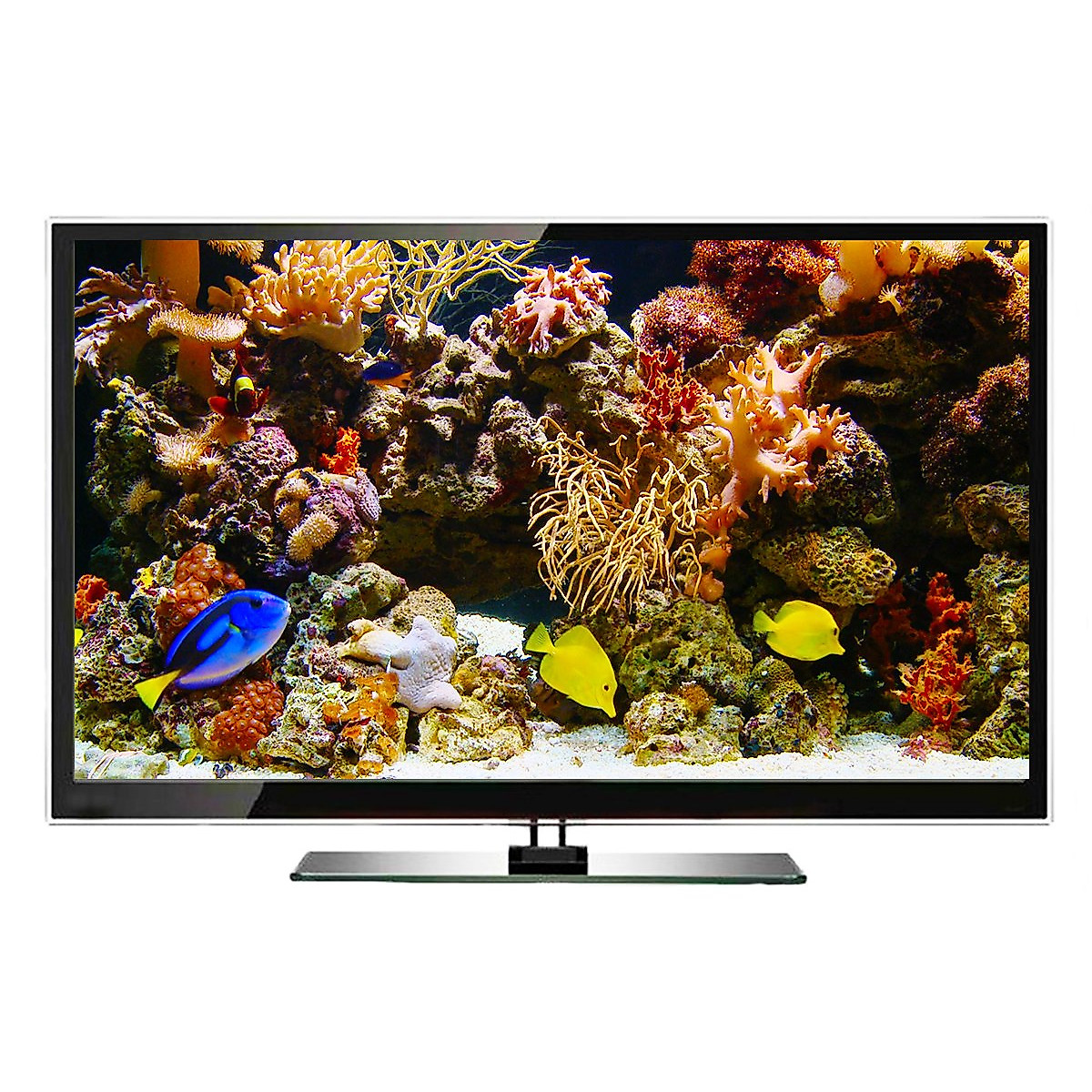 DVD Ambiance - Cheminée et Aquarium Tropical, 2 heures de vidéo d'atmosphère HD en boucles de 25 minutes